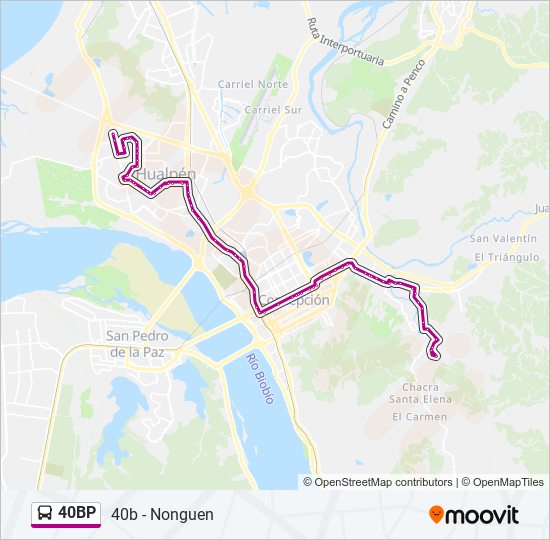 Ruta 40bp: horarios, paradas y mapas - 40b - Nonguen (Actualizado)
