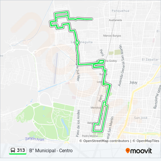 Ruta 313: horarios, paradas y mapas - B° Municipal - Centro (Actualizado)
