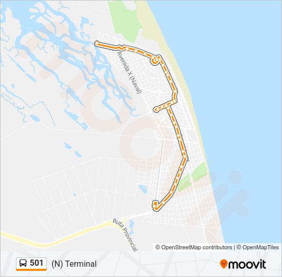 501 Route: Schedules, Stops & Maps - (N) Terminal (Updated)