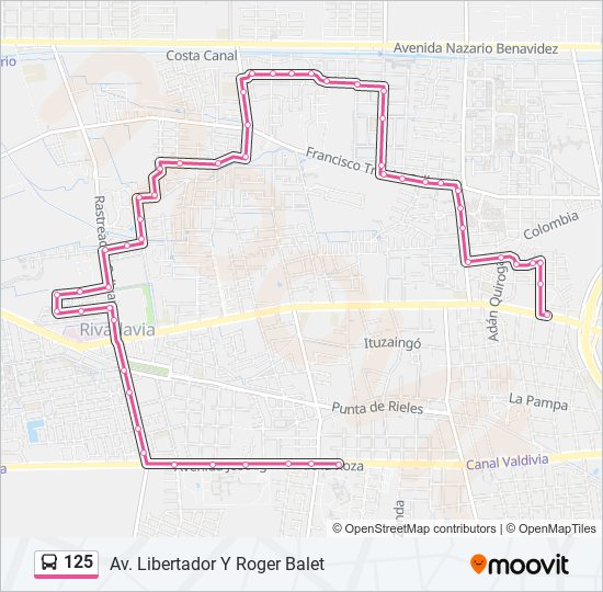 125 Route: Schedules, Stops & Maps - Av. Libertador Y Roger Balet (Updated)
