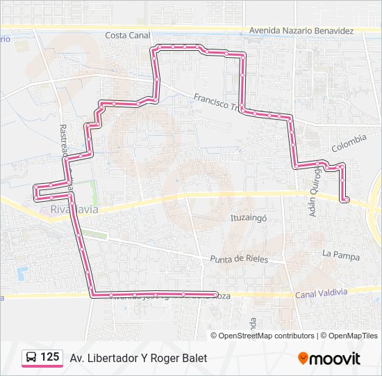 125 Route: Schedules, Stops & Maps - Av. Libertador Y Roger Balet (Updated)