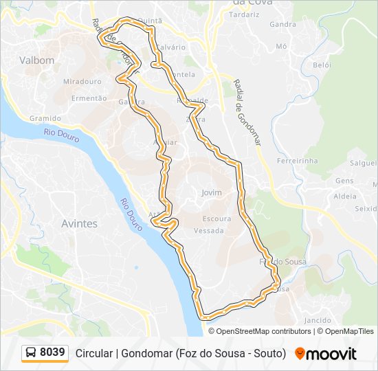 8039 Percursos: Horários, paragens e mapas - Circular Gondomar (Foz do ...
