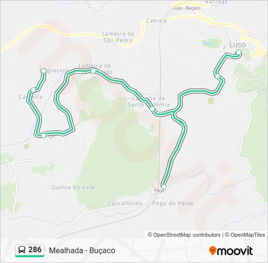 286 Route: Schedules, Stops & Maps - Luso (Updated)