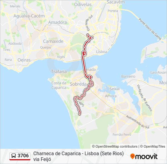 3706 Route: Schedules, Stops & Maps - Lisboa (Sete Rios) (Updated)