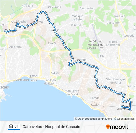 31 Route: Schedules, Stops & Maps - Hospital de Cascais (Updated)