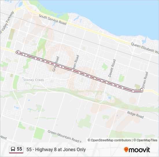 55 Route: Schedules, Stops & Maps - 55 - Highway 8 at Jones Only (Updated)