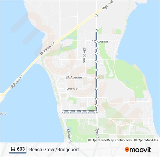 603 Route: Schedules, Stops & Maps - Beach Grove (Updated)