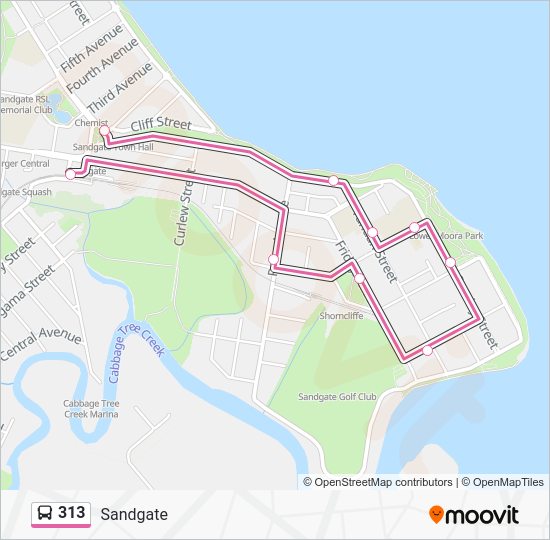 313 Route: Schedules, Stops & Maps - Sandgate (Updated)