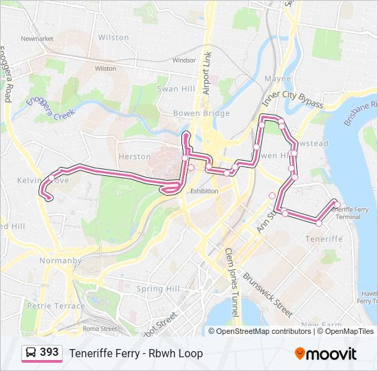 393 Route: Schedules, Stops & Maps - Teneriffe Ferry (Updated)