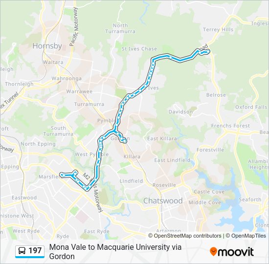 197 Route: Schedules, Stops & Maps - Macquarie Uni (Updated)