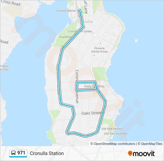 971 Route: Schedules, Stops & Maps - Cronulla Station (Updated)