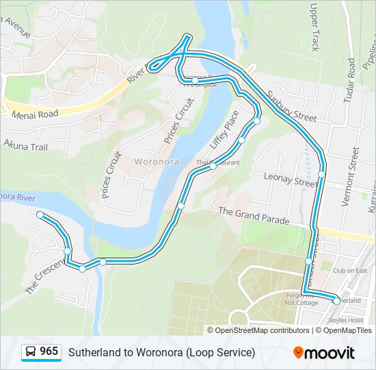 965 Route: Schedules, Stops & Maps - Prince Edward Park Rd (Updated)