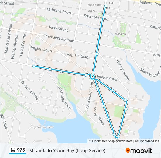 973 Route: Schedules, Stops & Maps - Miranda - Sylvania & Forest Rd ...