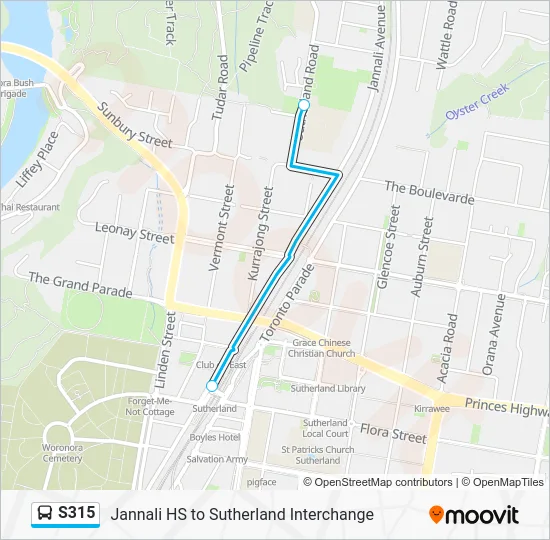 S315 Route: Schedules, Stops & Maps - Sutherland Station (Updated)