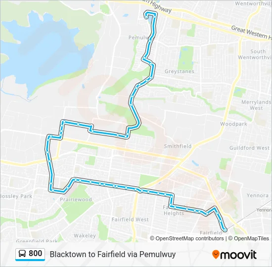 800 Route: Schedules, Stops & Maps - Nijong Dr opp Wombat St (Updated)