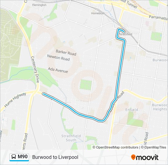 M90 Route: Schedules, Stops & Maps - Strathfield Stn (Updated)