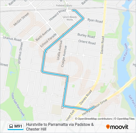 M91 Route: Schedules, Stops & Maps - Walter Skelton Village (Updated)
