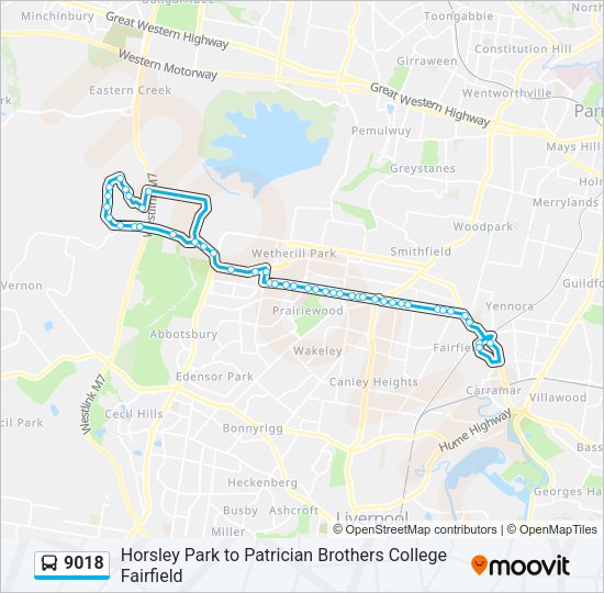 9018 Route: Schedules, Stops & Maps - Patrician Brothers Coll (Updated)