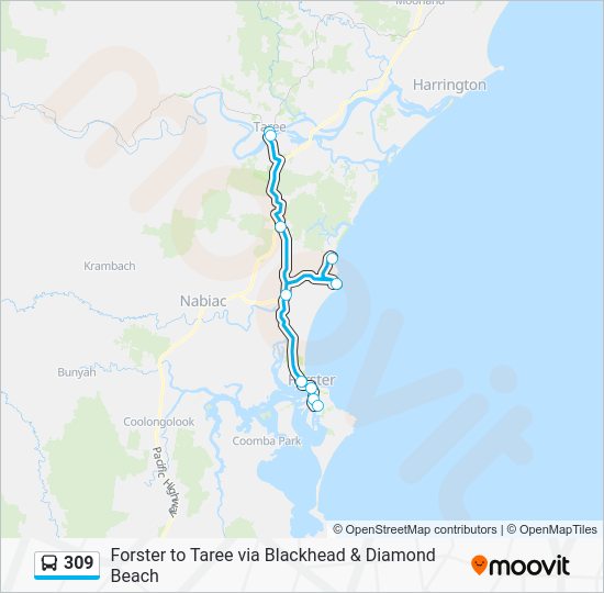 309 Route: Schedules, Stops & Maps - Taree (Updated)