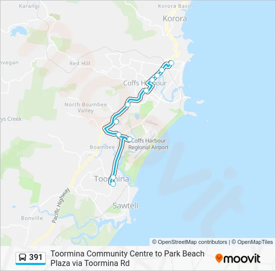 391 Route: Schedules, Stops & Maps - Toormina Gardens (Updated)