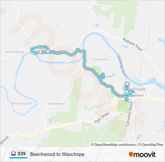 339 Route: Schedules, Stops & Maps - Beechwood (Updated)