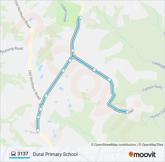 3137 Route: Schedules, Stops & Maps - Dural Primary School (Updated)