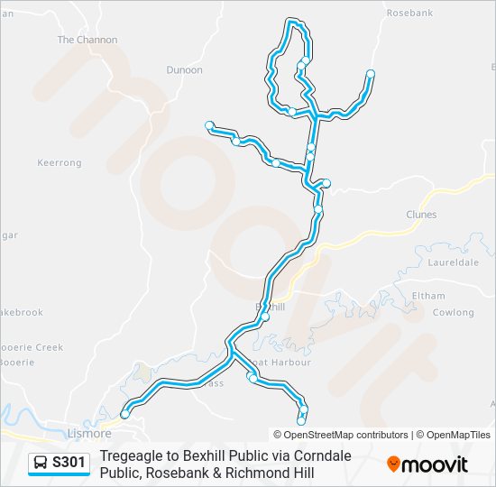 S301 Route: Schedules, Stops & Maps - Bexhill Public School (Updated)