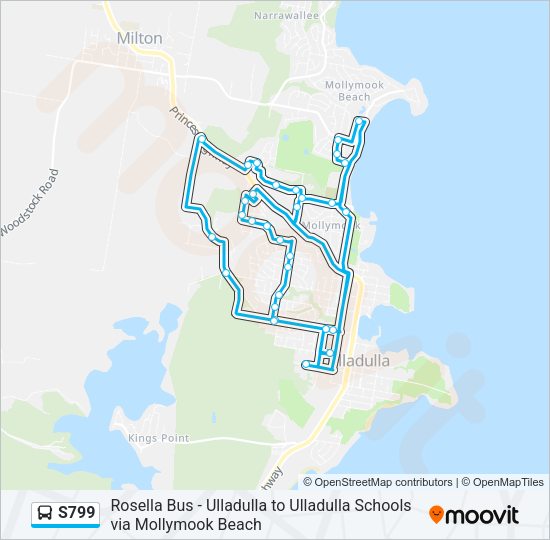 S799 Route: Schedules, Stops & Maps - School Bus - S799 (Updated)