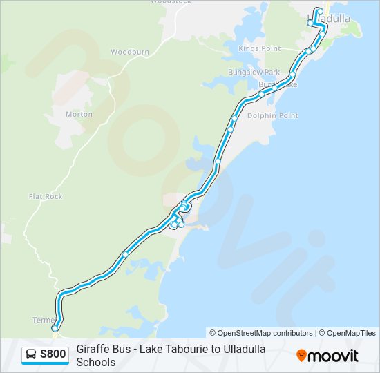 S800 Route: Schedules, Stops & Maps - School Bus - S800 (Updated)