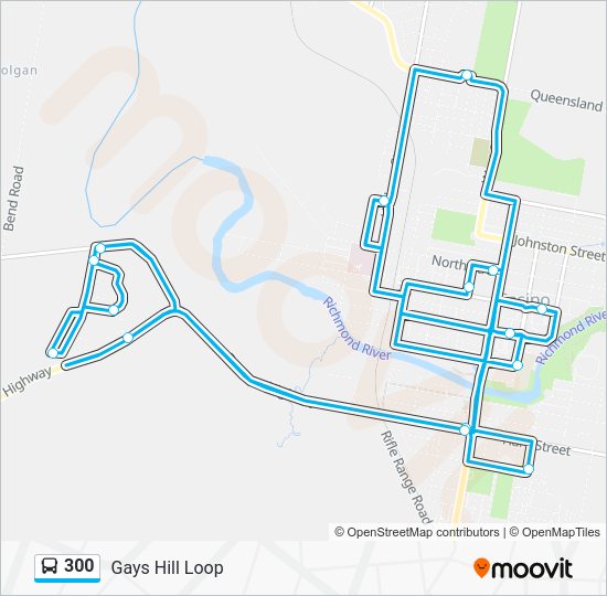 300 Route: Schedules, Stops & Maps - Gays Hill Loop (Updated)