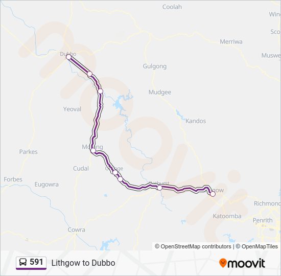 591 Route: Schedules, Stops & Maps - Dubbo (Updated)