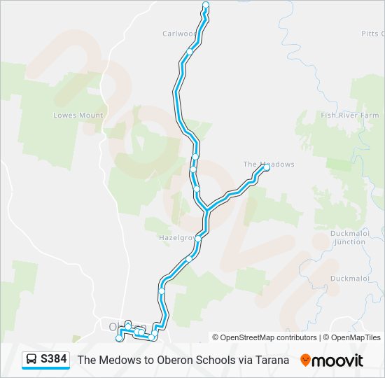 s384 Route: Schedules, Stops & Maps - The Medows (Updated)