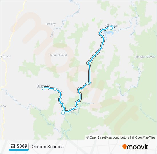 S389 Route: Schedules, Stops & Maps - Burraga (Updated)