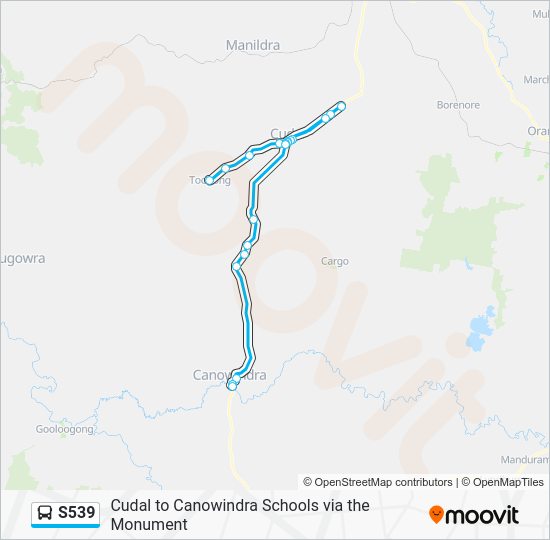 S539 Route: Schedules, Stops & Maps - Cudal (Updated)