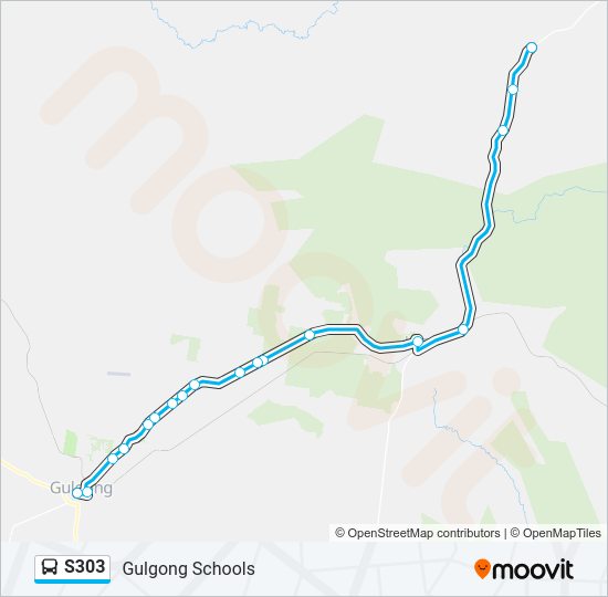s303 Route: Schedules, Stops & Maps - Gulgong Schools (Updated)