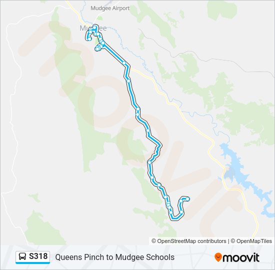 S318 Route: Schedules, Stops & Maps - Queens Pinch (Updated)