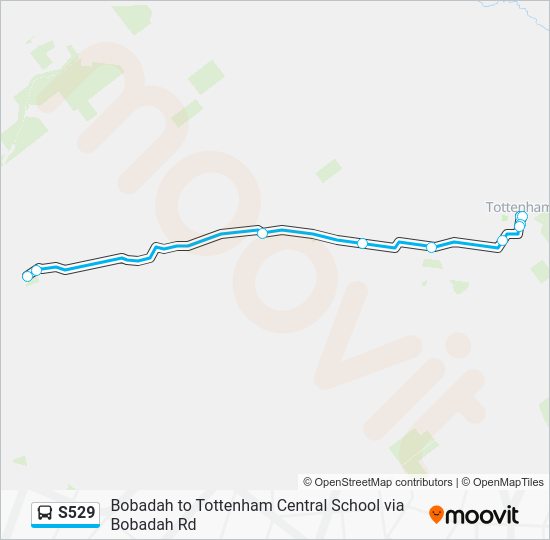 S529 Route: Schedules, Stops & Maps - Tottenham Central Sch (Updated)