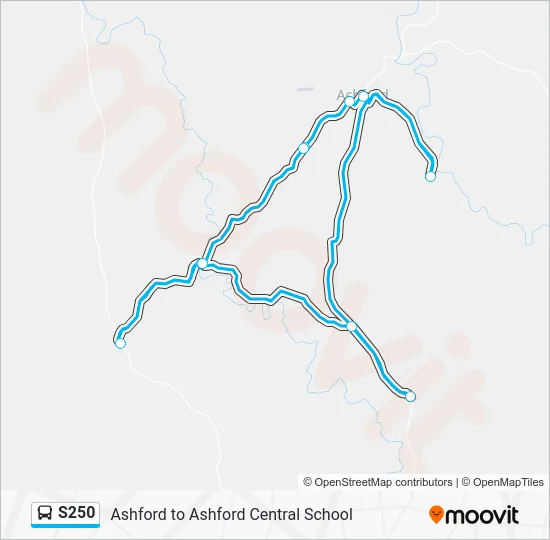 S250 Route: Schedules, Stops & Maps - Ashford Central (Updated)