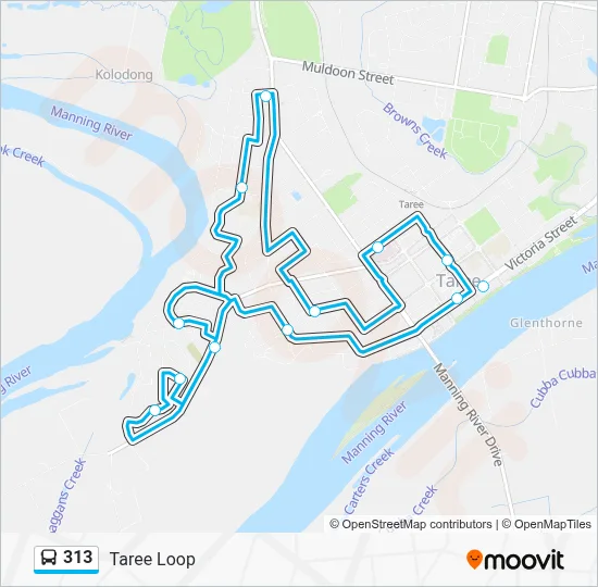 313 Route: Schedules, Stops & Maps - Taree Loop (Updated)