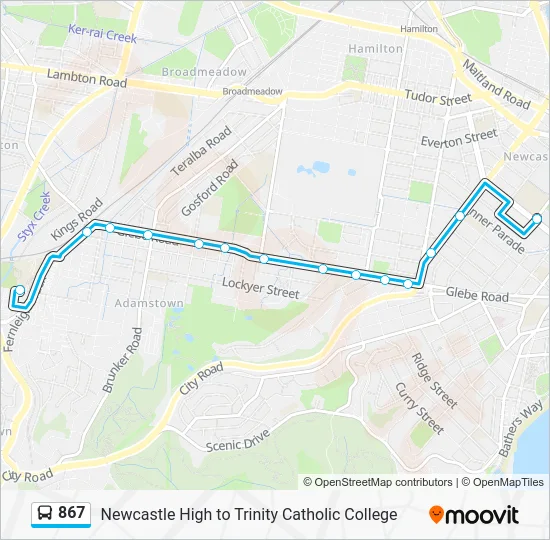 867 Route: Schedules, Stops & Maps - St Pius X HS (Updated)