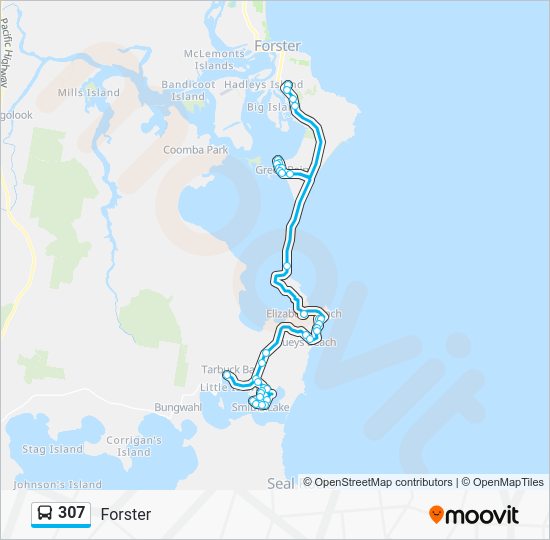 307 Route: Schedules, Stops & Maps - Coomba Park (Updated)