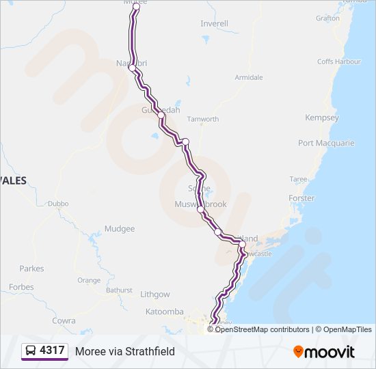 4317 Route: Schedules, Stops & Maps - Moree via Strathfield (Updated)