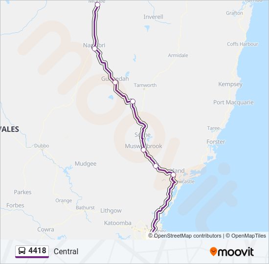 4418 Route: Schedules, Stops & Maps - Central (Updated)