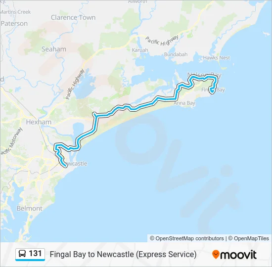 131 Route: Schedules, Stops & Maps - Hunter St (Updated)