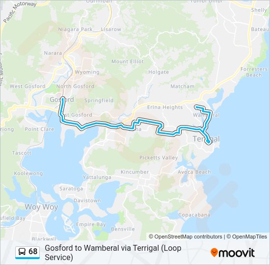 68 Route: Schedules, Stops & Maps - Wamberal (Updated)