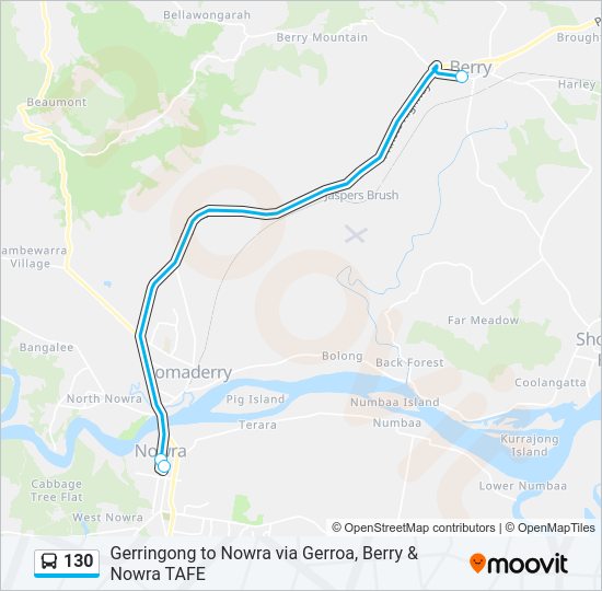 130 Route: Schedules, Stops & Maps - Queen St after Albany (Updated)
