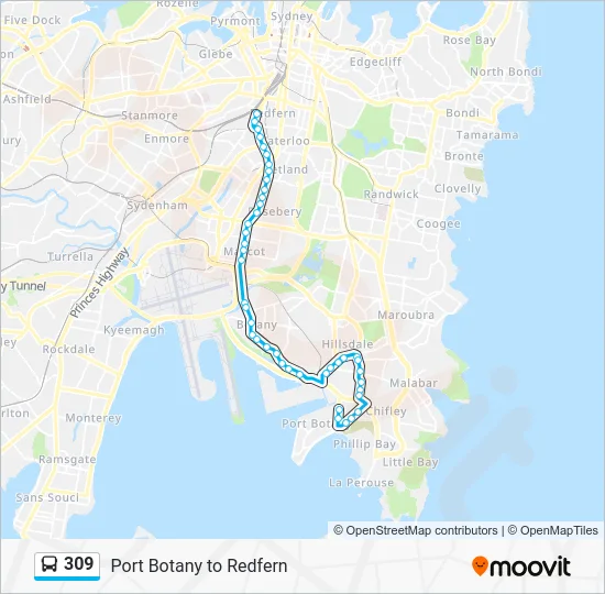 309 Route: Schedules, Stops & Maps - Redfern Station - Gibbons St (Updated)