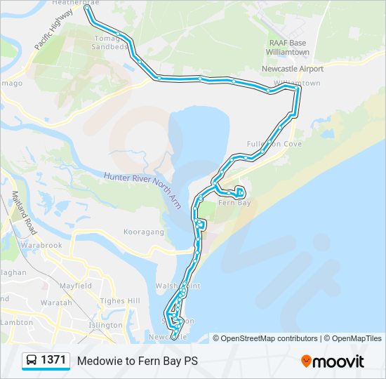 1371 Route: Schedules, Stops & Maps - Fern Bay Primary School (Updated)