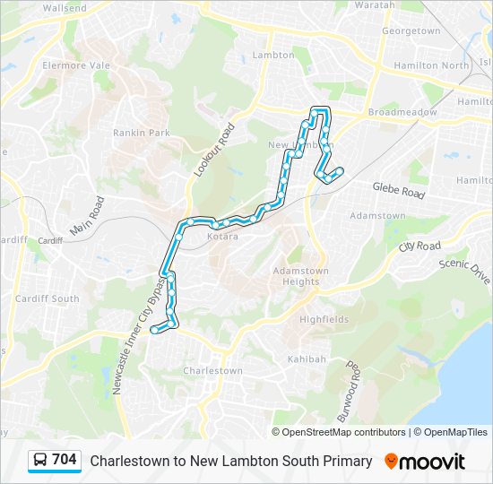 704 Route: Schedules, Stops & Maps - New Lambton Sth PS (Updated)