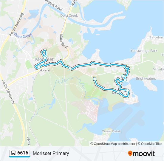 6616 Route: Schedules, Stops & Maps - Morisset Primary (Updated)